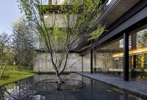 Garrya | Banyan Group